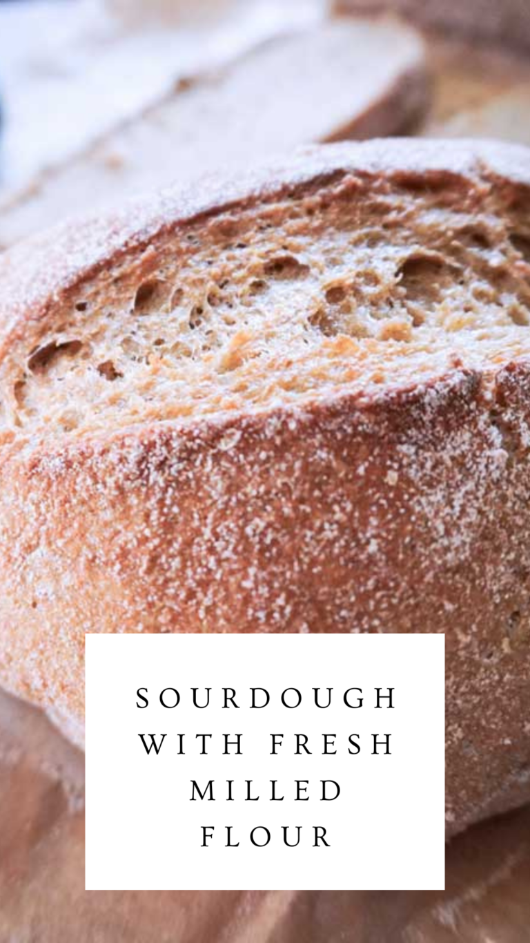 Sourdough Bread Recipe With Fresh Milled Flour - Planted Home
