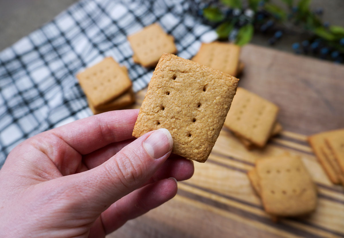 Homemade Sourdough Graham Crackers With Honey - Planted Home